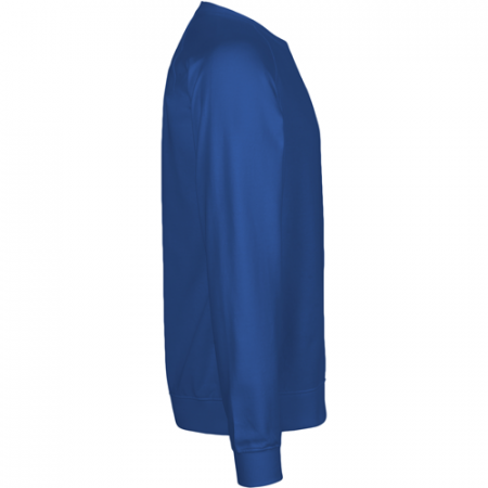 Wiener Cliquen - Frisbee Funkers - Sweatshirt (royal blue)